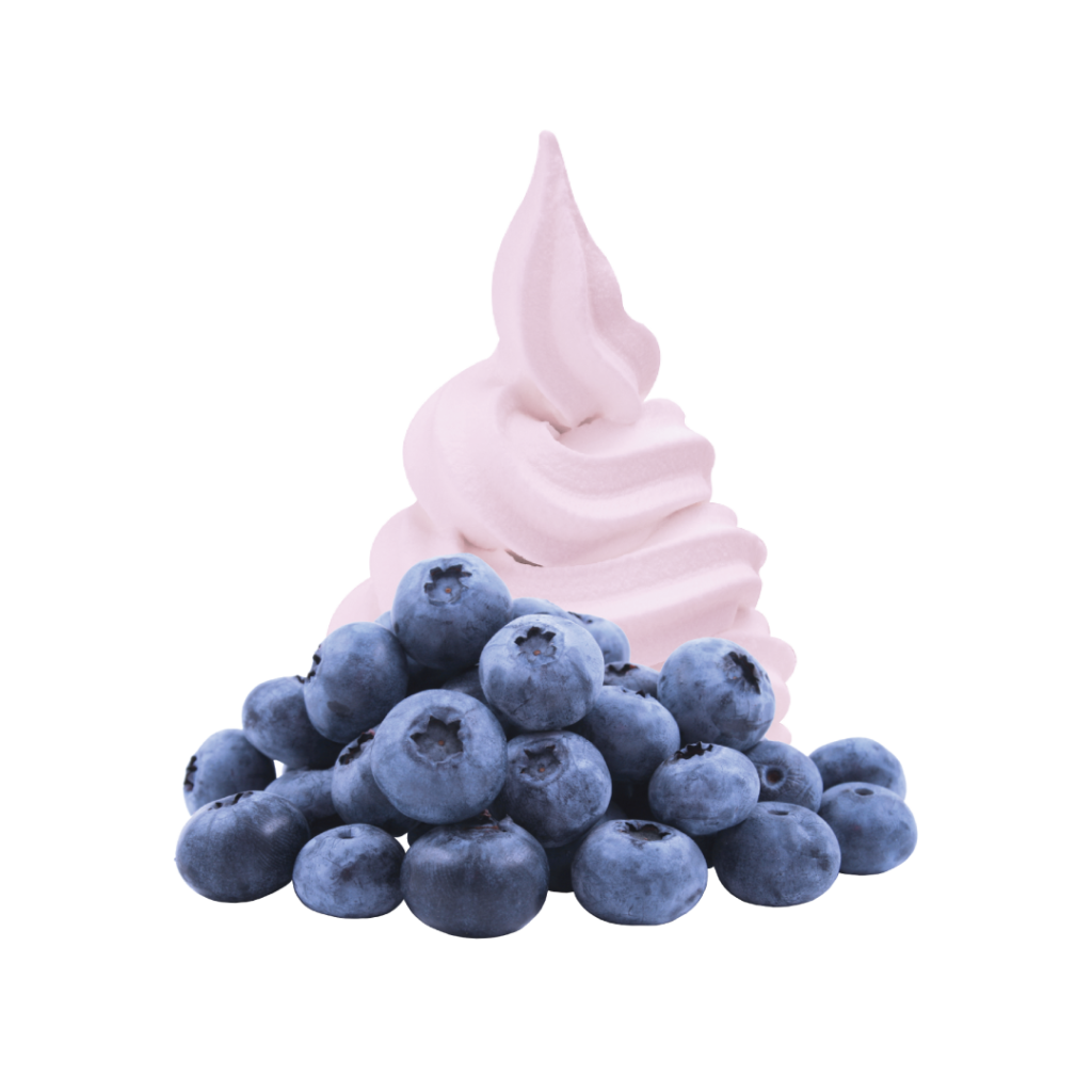 Blueberry Frozen Yoghurt (Yogurberry) - Eats Bible
