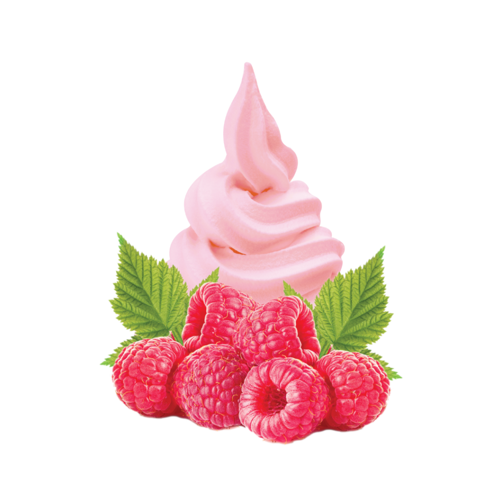 Raspberry Frozen Yoghurt (Yogurberry) - Eats Bible