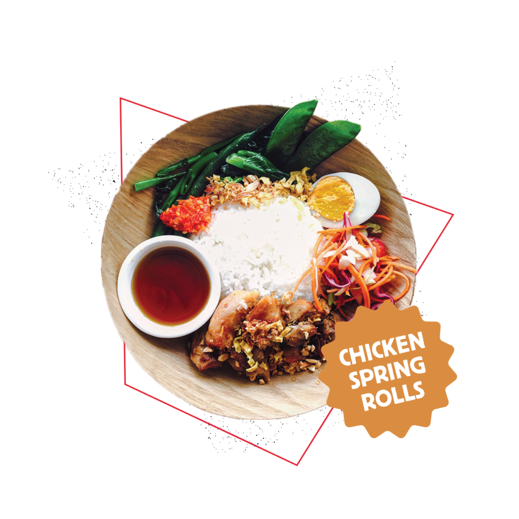 Chicken Spring Rolls Rice Bowl (Soonta) - Eats Bible