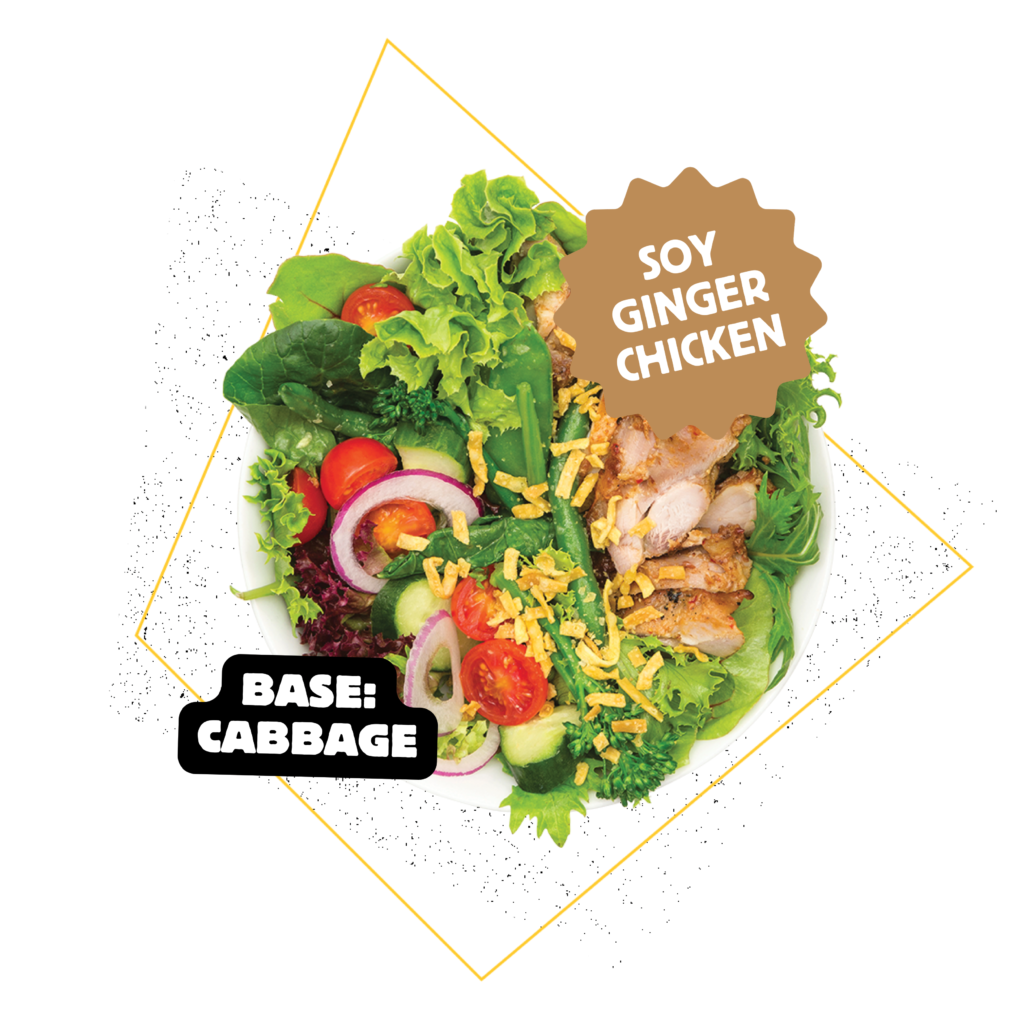 Soy Ginger Chicken Salad Bowl - Cabbage Base (Soonta) - Eats Bible
